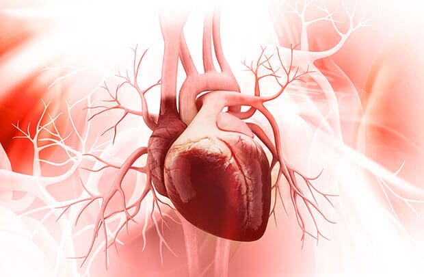 A Common Heart Condition Causes Sudden Death — Here’s How to Prevent It ...