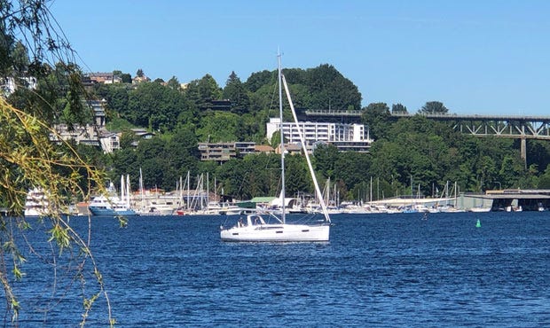 How to comfortably spend Seattle summer without AC | by Sharad Mittal ...