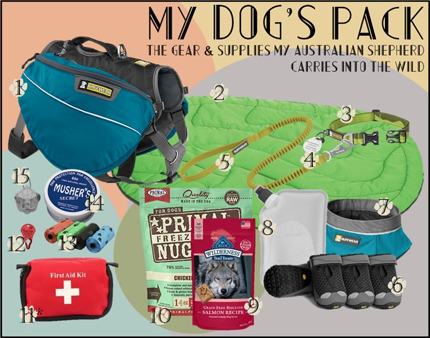 The 15 Items in My Dog’s Pack. 15 essential items to take your dog ...