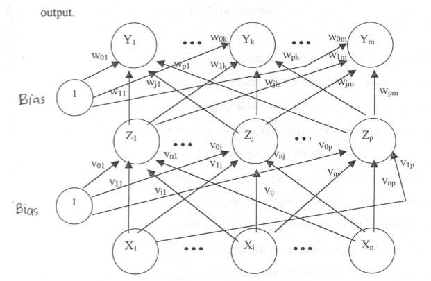 Image Classification With Convolutional Neural Network | by aulia ...