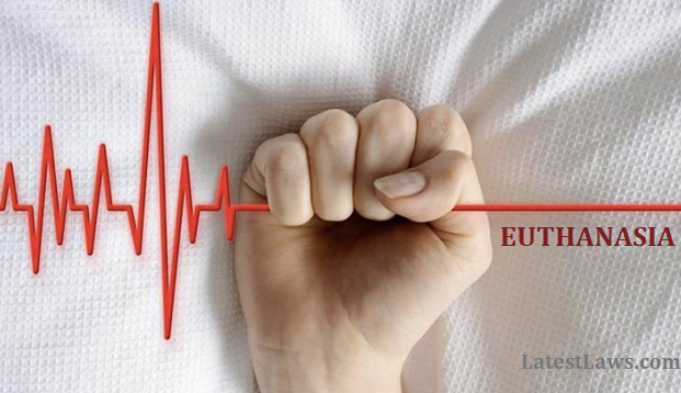Euthanasia: Right to live or die? | by MedNet | Medium