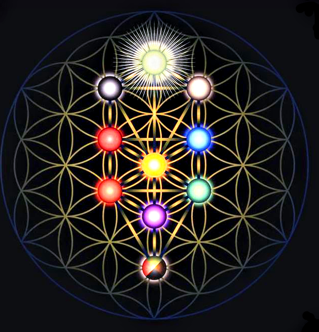 ~Left Vs Right, A False Dichotomy ~ | by ~~~Shapeshifter32~~~ | Medium