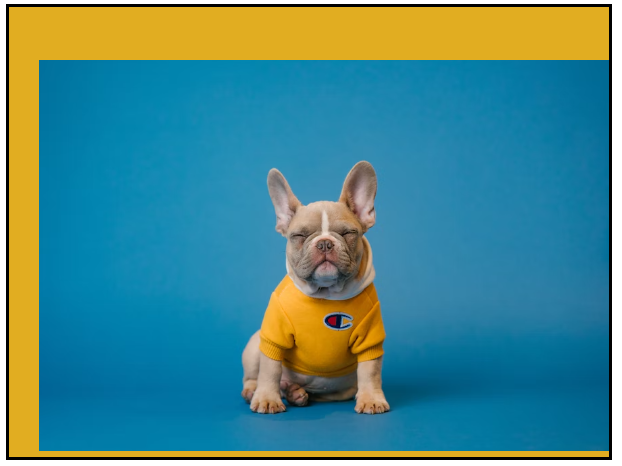 Add Filters to Images using FabricJS- Part 1 | by Mandev | Medium