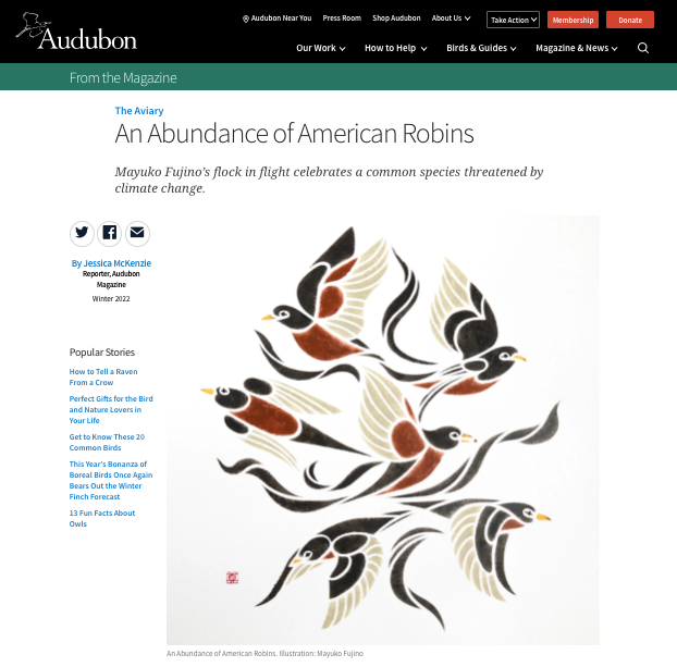 American Robin piece featured in The Audubon Magazine Winter 2022 Issue ...
