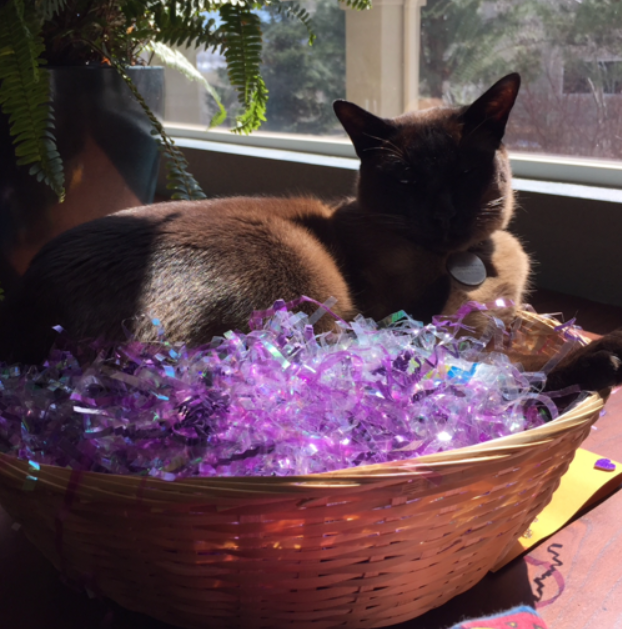 The Unofficial Easter Survival Guide | by Kim Slemint | Bouncin’ and ...