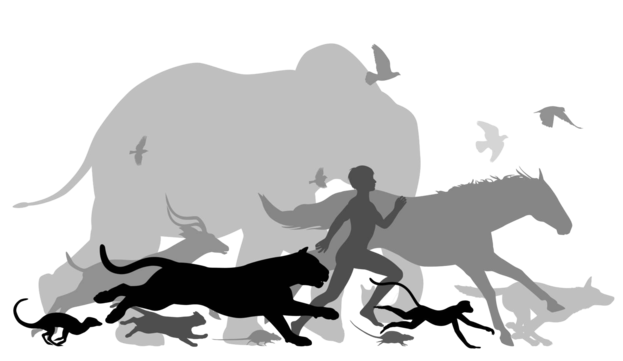 A Philosophical Reflection on Domestication and Humanization | by ...