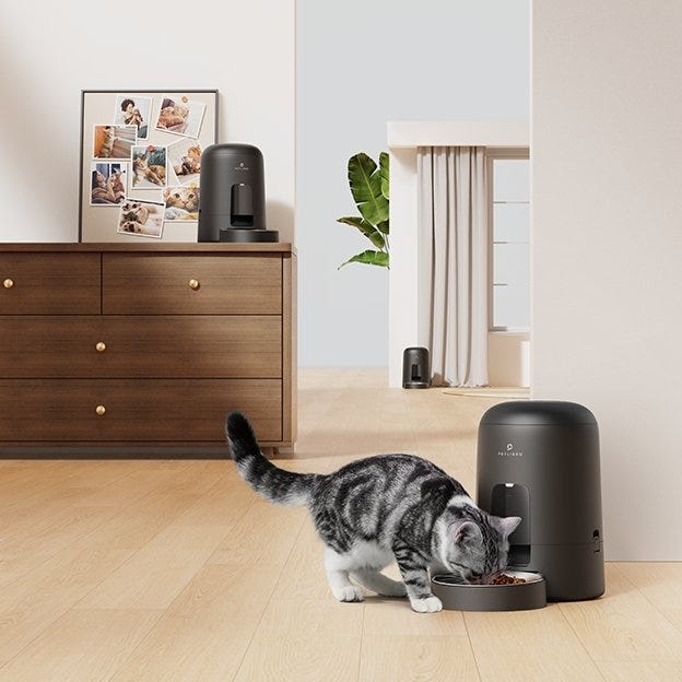 How an Automated Cat Feeder Can Improve Your Feline’s Health | by maojing | May, 2023 | Medium