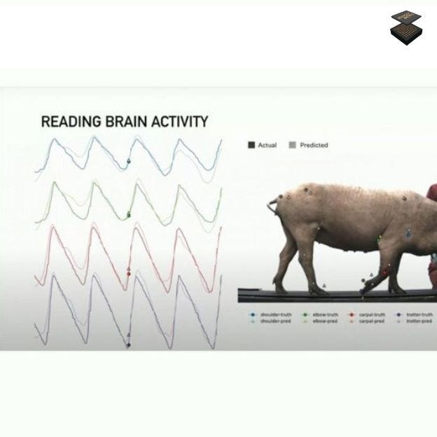 NEURALINK : THE AGGRESSIVE PIG EXPERIMENT (2016–2020) | by Brain chip ...