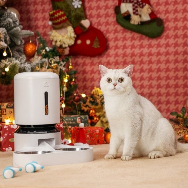 Why Every Cat Owner Needs an Automatic Feeder: A Comprehensive Guide ...
