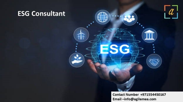 ESG objectives and reporting. We as an ESG Reporting consultant in ...