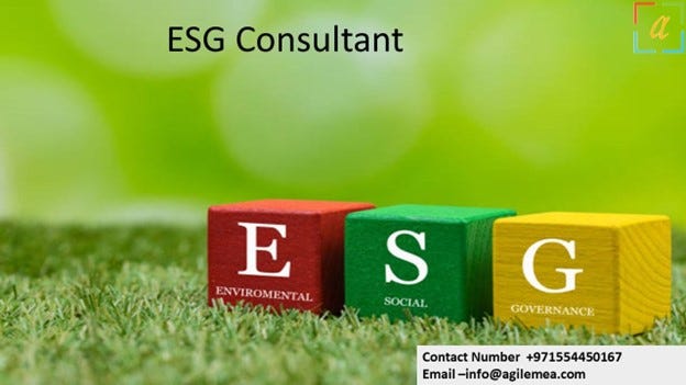 Linking sustainability objectives and company commitment with ESG ...