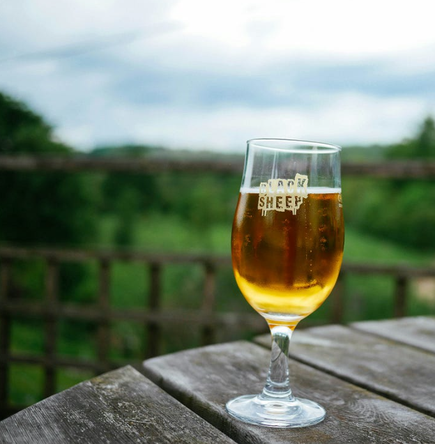 The Best Tasting Beer Is the First Sip | by LuMarLee | The Daily Cuppa ...