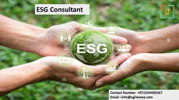 ESG Strategy and How to use it. As an ESG Consultant in Dubai that ...