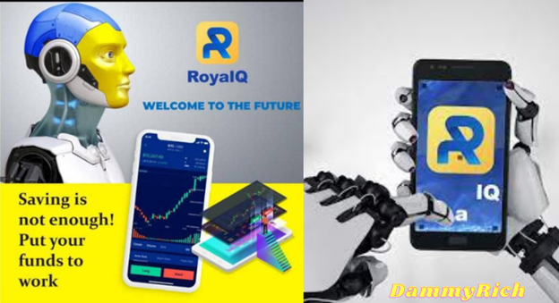 IS IT POSSIBLE TO MAKE MONEY WITH ROYAL Q BOT? [“PROS AND CONS”] | by ...