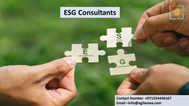 ESG and Its Importance. As an ESG reporting consultant in Dubai… | by ...