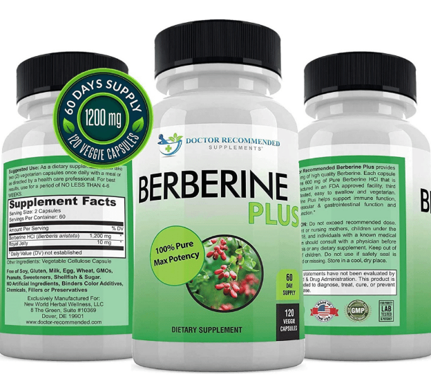 The Best Berberine Supplement: My Top 5 Picks | by informativebloger ...