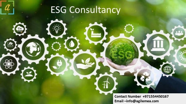 What are the guidelines for ESG reporting? | by Esgagile | Apr, 2023 ...