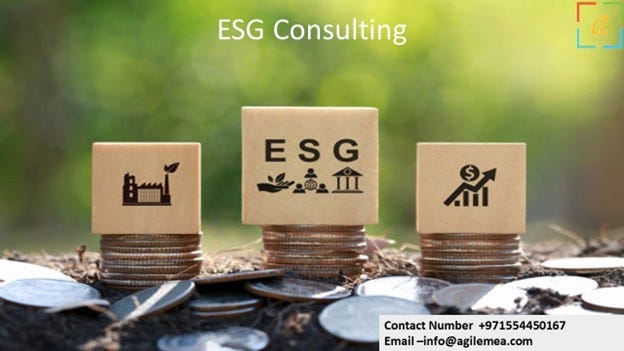 SIX BENEFITS OF USING ESG EVALUATIONS TO INCLUDE OUTSIDE-IN STAKEHOLDER ...