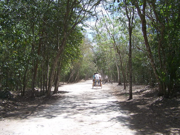 Seeing Coba: Part Three. The Roads of the Maya | by Richard Crim | The ...