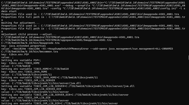 How to check the BusinessWorks runtime environment | by Emmanuel ...