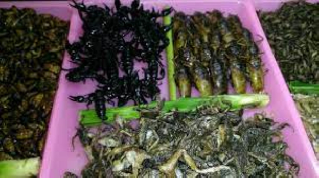 10 Unusual Things That Can Actually Be Eaten | by Tabby Kamau | Medium
