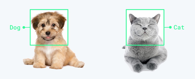 Deep Learning: Image segmentation and localization — U-Net Architecture ...