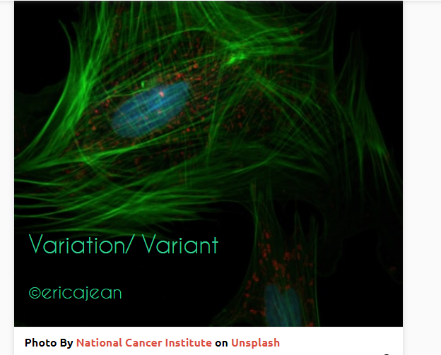 Variation/Variant - Social Pulse - Medium