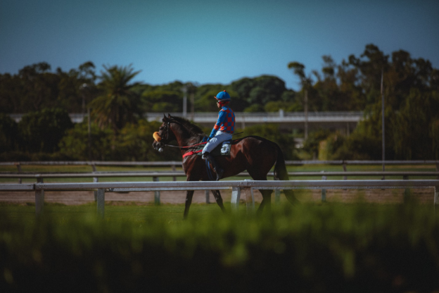 Del Mar Uncovered: Surfing the Waves of Winning Horse Racing Picks | by ...