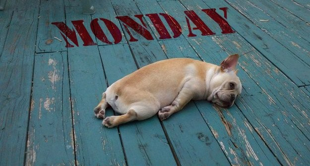 Monday blues, Friday distractions | by PMaps Assessments | Medium