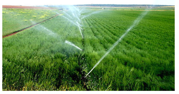 Use of Smart Irrigation System and Water Management | by Elite Agro ...