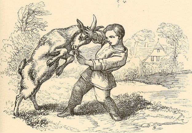 Three things you need to do before you can be assertive | by Jonathan Seidman | Medium