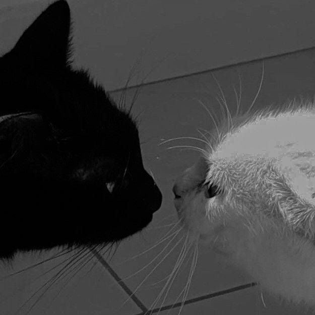 Pahit, Manis, Dingin, Hangat, dan Kelam adalah Kita. | by Riani S | Medium