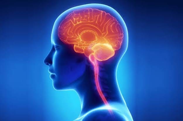 Neuro-Thrive Brain Support: Unleashing Cognitive Potential | by Jack ... Neuro-Thrive Brain Support: Unleashing Cognitive Potential | by Jack ...