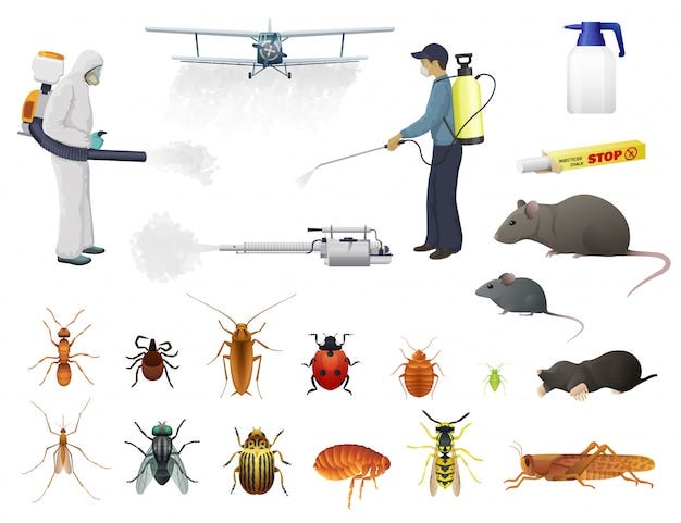 Pest Control Scarborough: Keeping Your Home Pest-Free | by Mr Awais ...