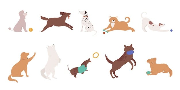 Are Some Dog Breeds Better at Problem Solving? | by Pupcare | Sep, 2024 ...