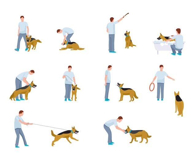 Adaptable allies: Exploring the adaptability of smart dog breeds | by ...