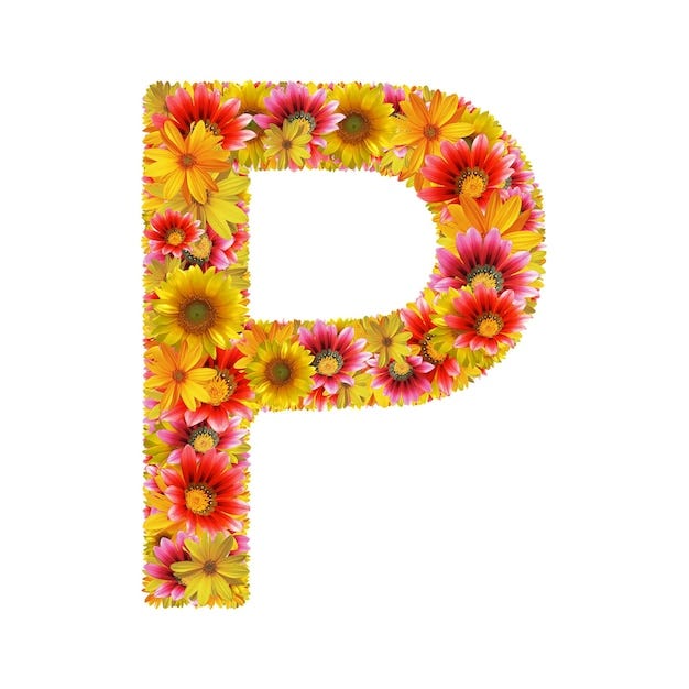 Spanish Words that Start with P. Ever considered how essential the ...