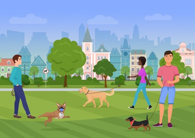 7 Ways to Stimulate Your Dogs Cognitive Abilities | by Caninecoach ...