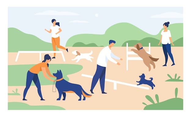 Enhancing Recall Abilities through Memory Exercises for Dogs | by ...