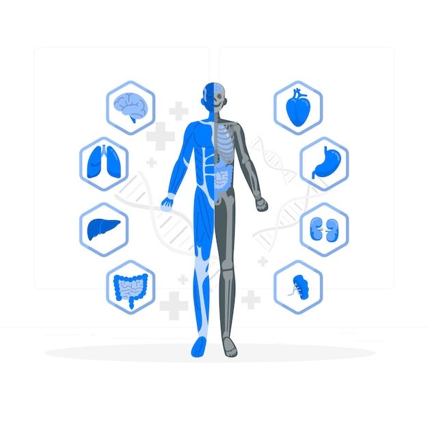 5 Random facts about the human body That Leave You Shock. | by SBHOP ...