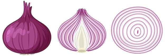 Peeling Back the Layers: Demystifying Onion Architecture for Modern Software Development | by ...