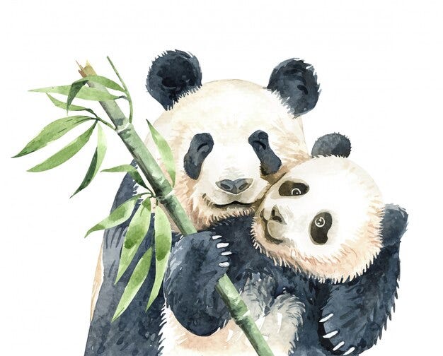 Useful Pandas Commands Some Useful Methods That I Often Use By Felipe Veiga Python In