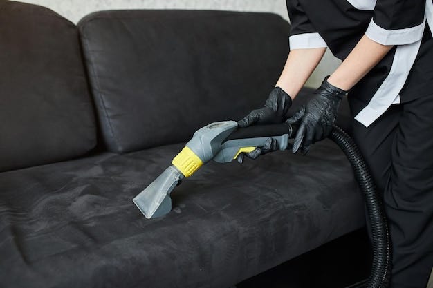 Finding the Best Upholstery Cleaner Canberra Has to Offer | by auscare ...