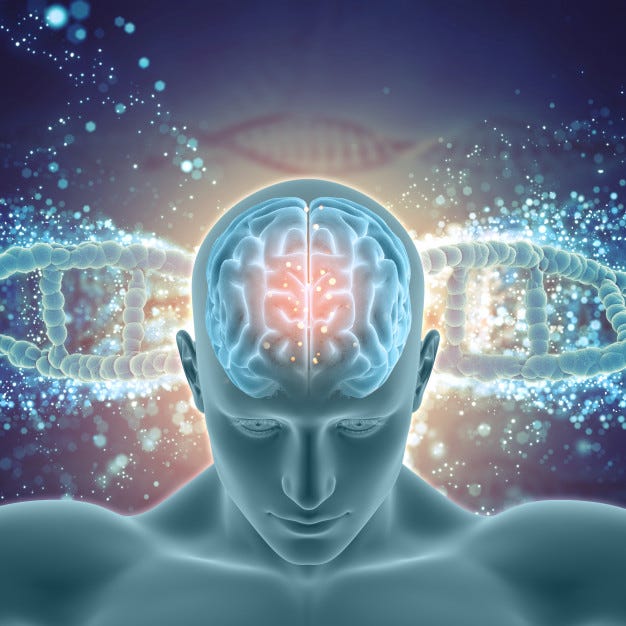 Research Journal Reveals Blood Can Also Be An Influencer Of Alzheimer’s ...