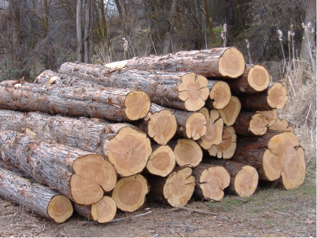 Logs on Logs on Logs: Aggregation at Yammer | by Engineering Yammer ...