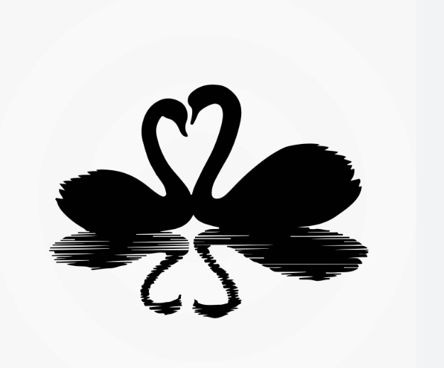 “Exploring the Unpredictable: Understanding Black Swan Events” | by ...