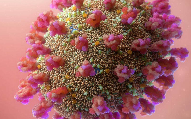 Understanding the Science: COVID Omicron XBB Variant Explained | by ...