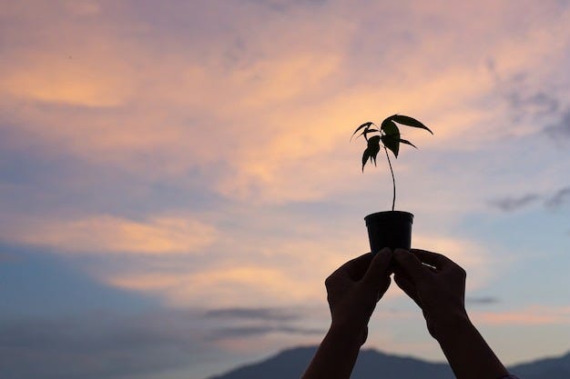 New Adventures Await: 10 Inspirational Wishes to Celebrate the Start of ...