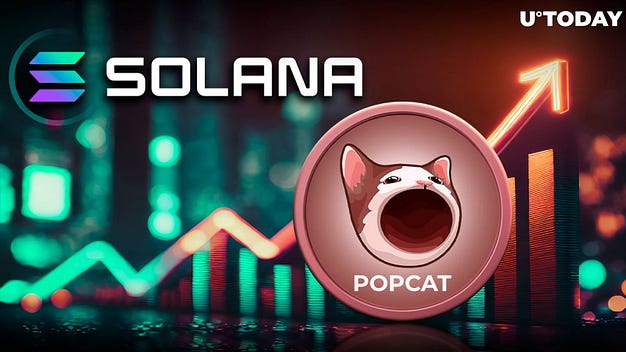 The Popcat (SOL) Airdrop: Key Strategies for Success | by $POPCAT Vault | Nov, 2024 | Medium
