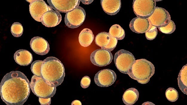 Reparative LIPOGEMS Surgical Approach Employs Fat Cells | by Dr. John G ...
